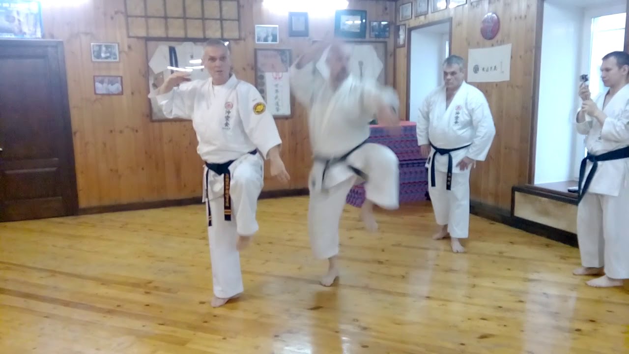 Kata Seisan Uechi ryu karate / last part / Sensei Popovich 7 Dan - YouTube