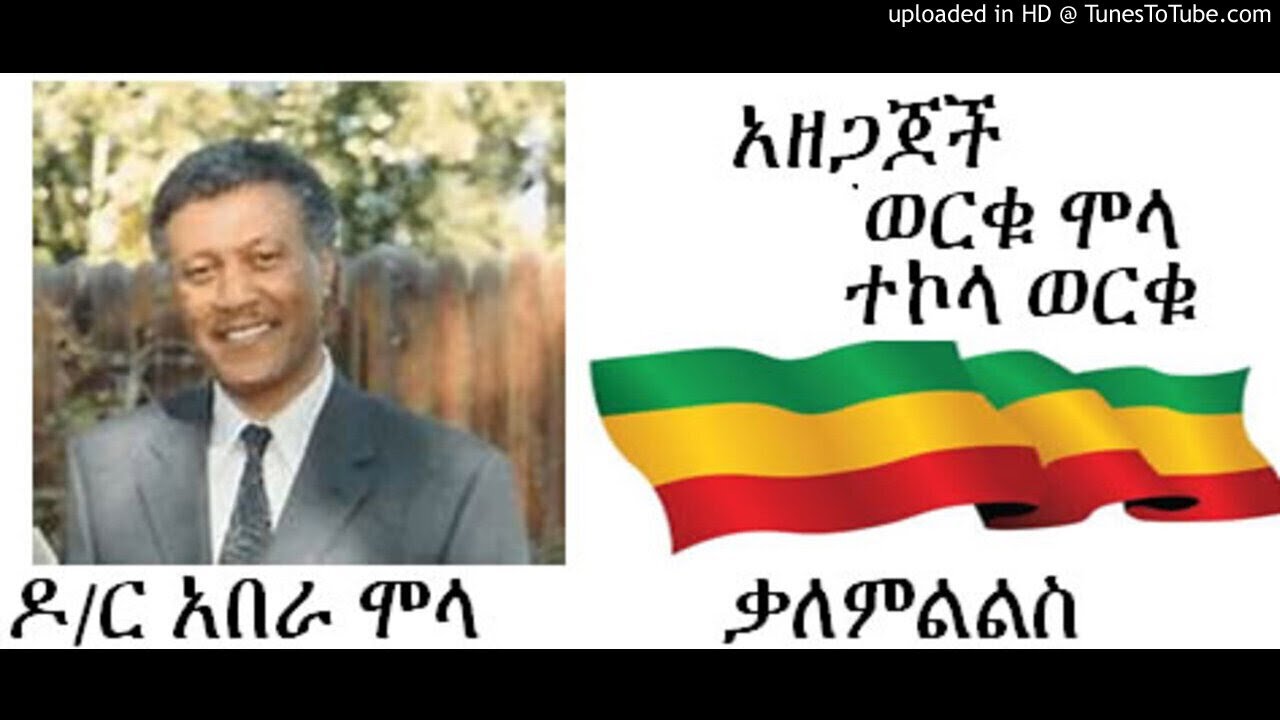 Dr Abera Molla ሐኪምና በኮምፕዩተር ግዕዝ መጠቀም እንዲቻል ያደረጉት ውይይት 190420 Ethiopia ...