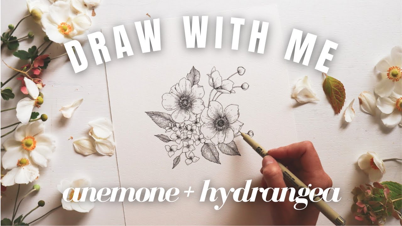How to Draw Anemone + Hydrangea Flowers Draw With Me Step By Step ...