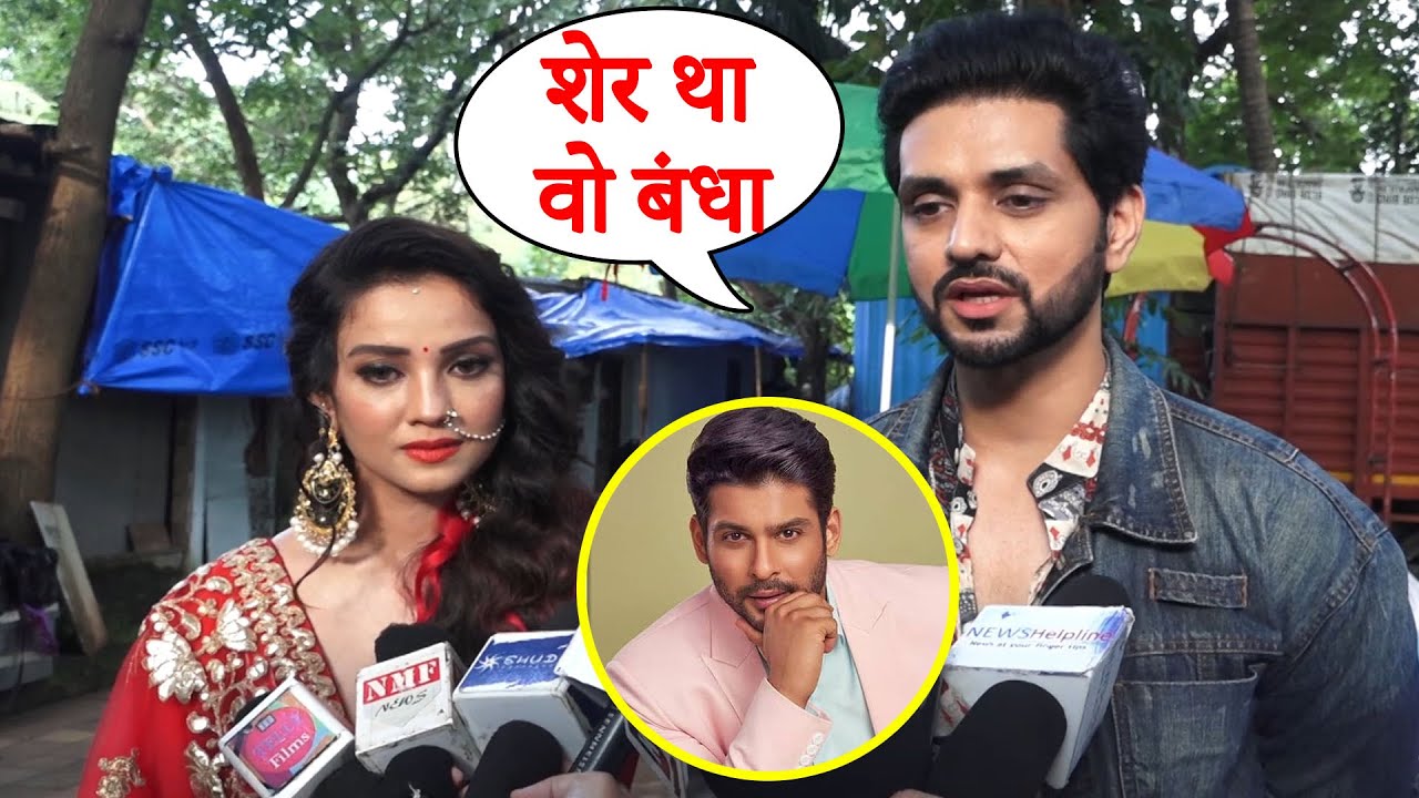 Adaa Khan And Shakti Arora Emotional Reaction On Sidharth Shukla Sudden ...
