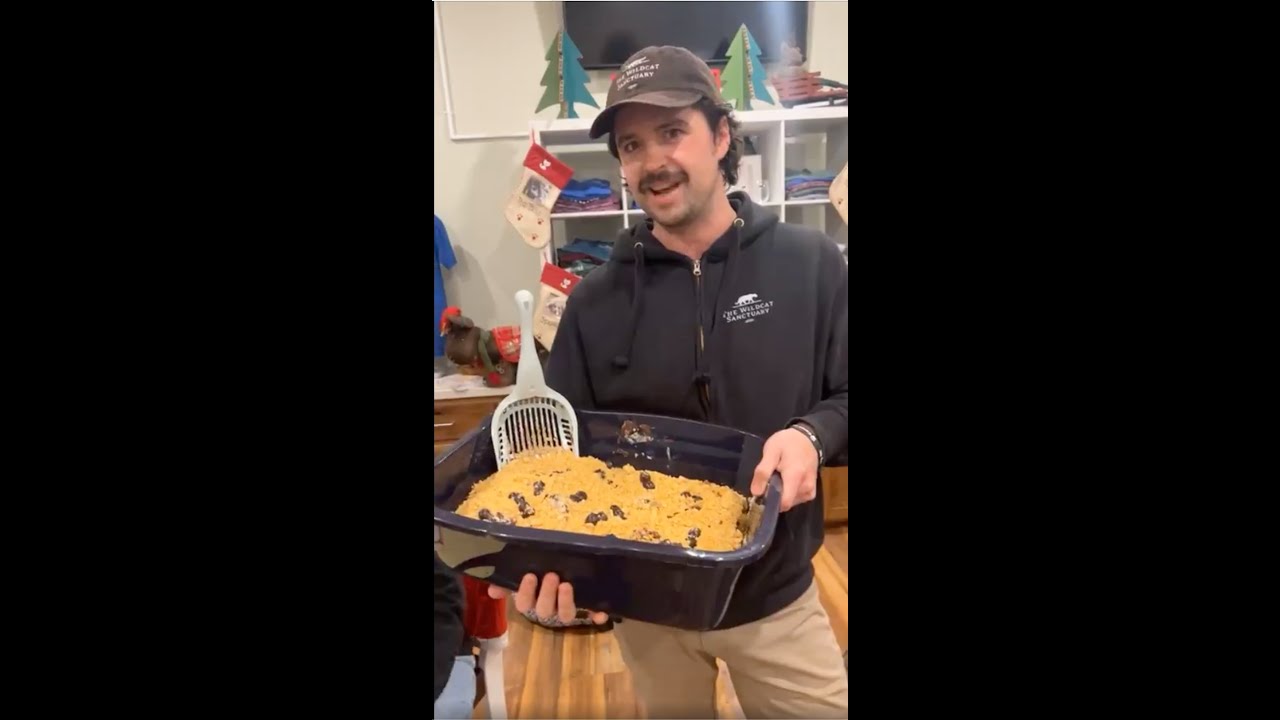 TRIPLED DONATIONS + TWS Staff/Intern Hangout - YouTube