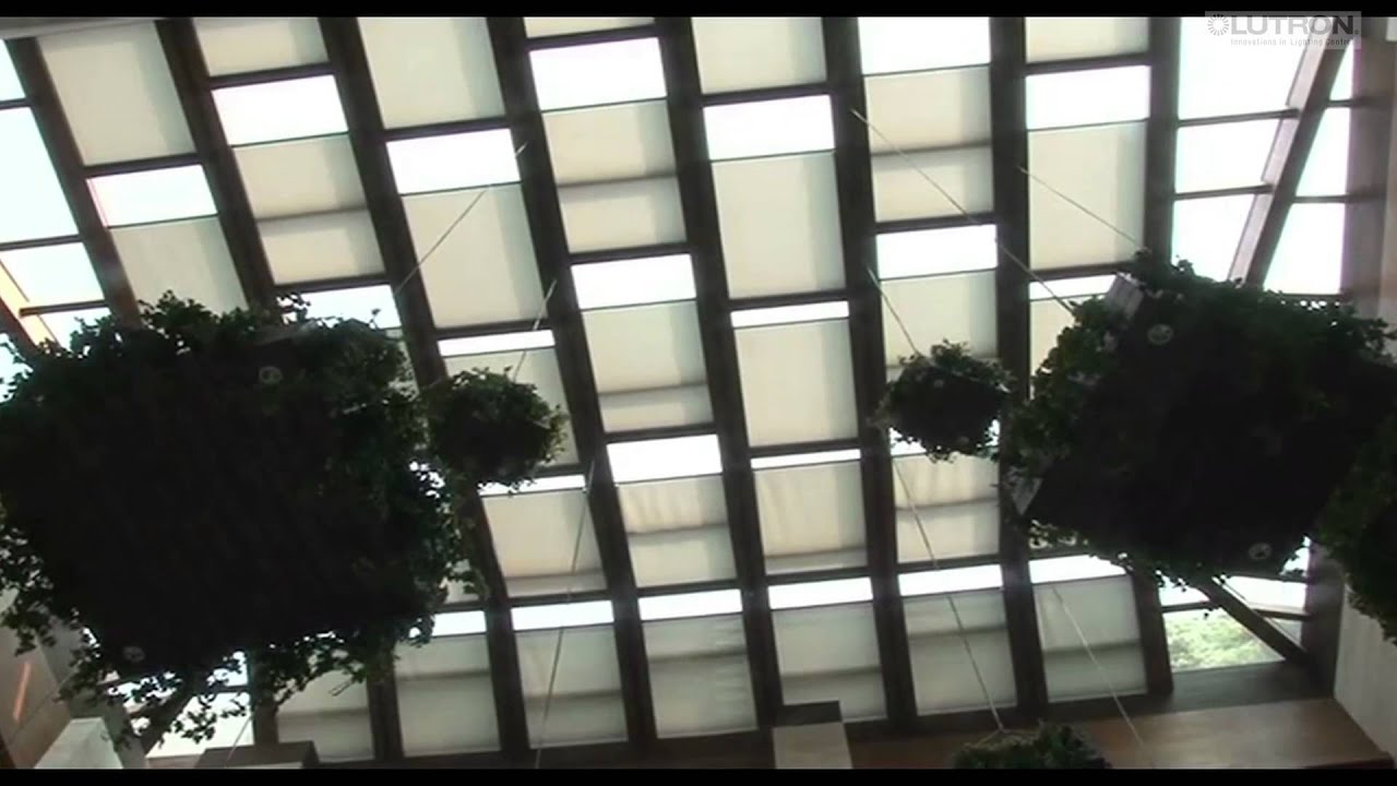 Kolkata Skylight Case Study - YouTube