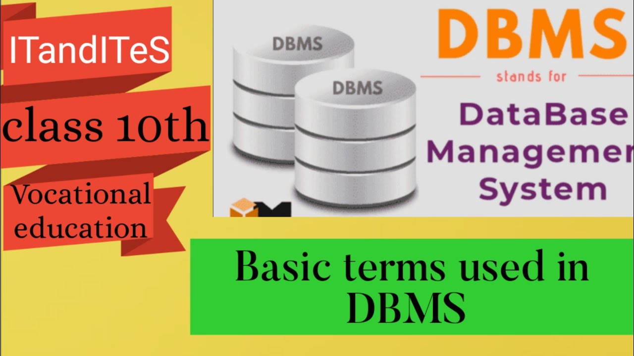 Database Management system | Class 10th IT/ITES | Concept of DBMS - YouTube