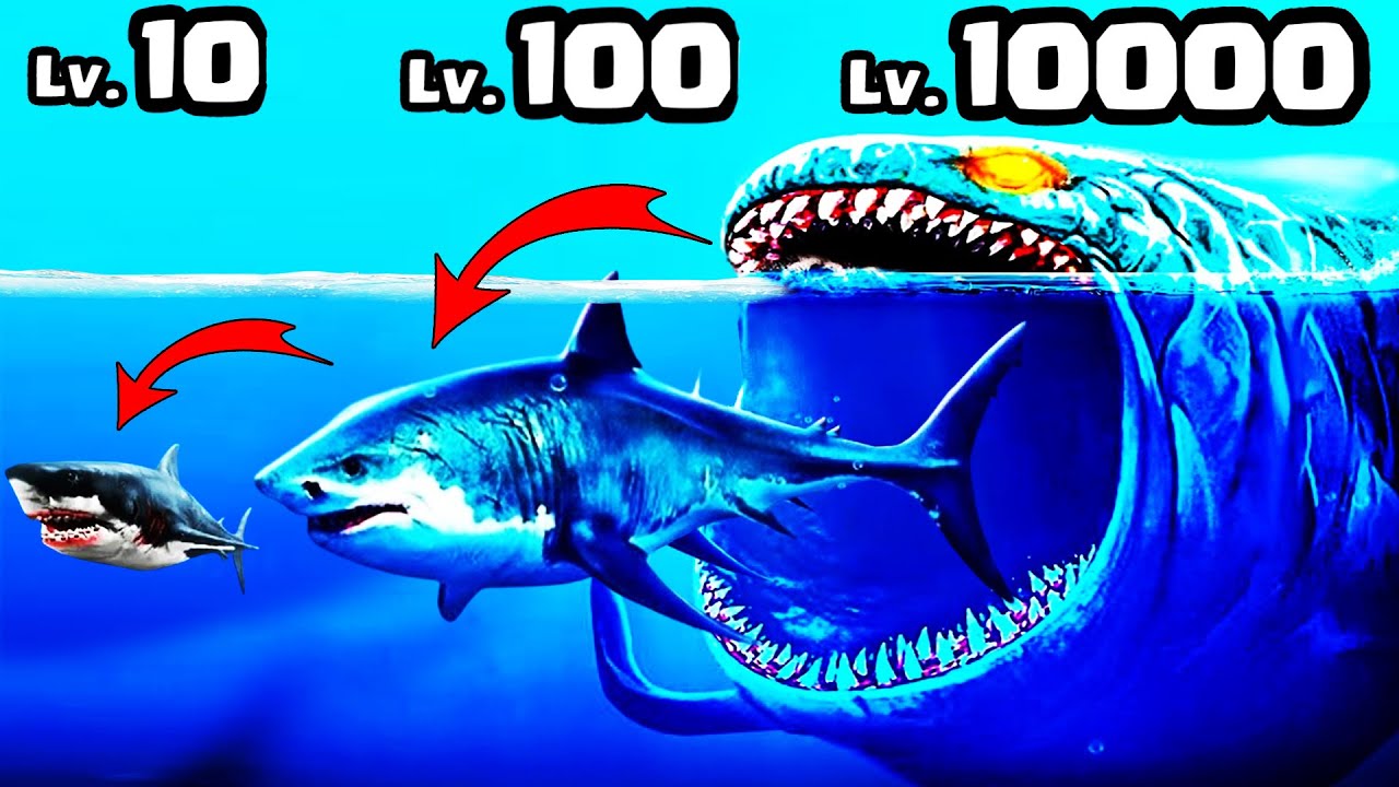 Shark Attack - Level Up Shark Max Level Gameplay - YouTube