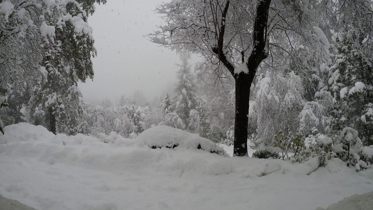 Eight minutes of snowfall in 4k (Neve caindo) - YouTube