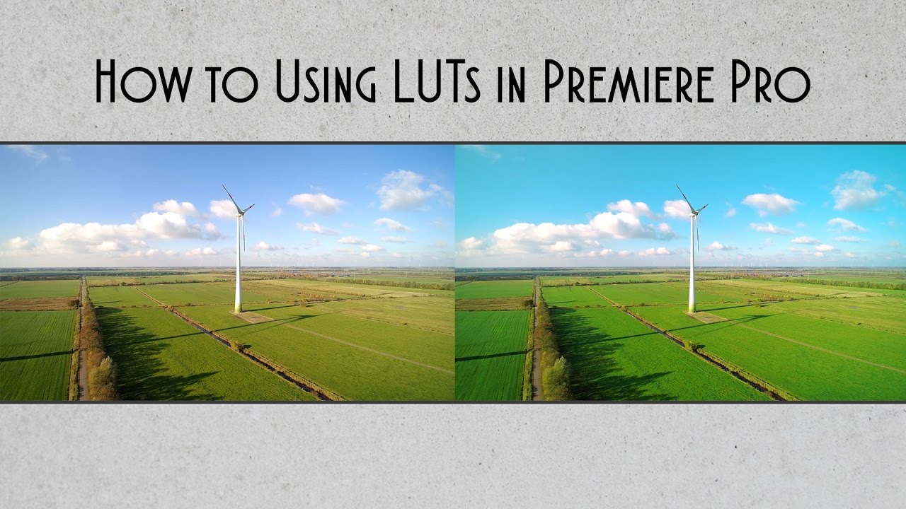 How to Using LUTs in Premiere Pro - YouTube