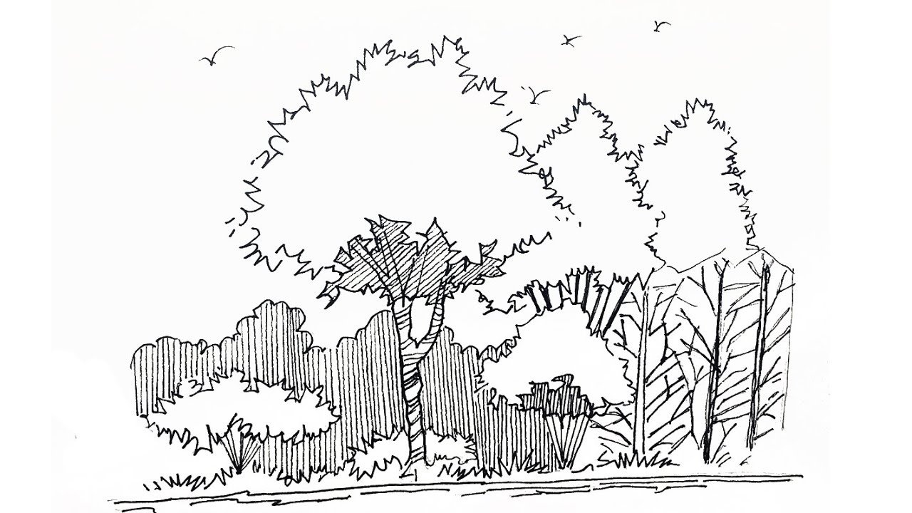 Landscape Sketching Series | Trees - YouTube