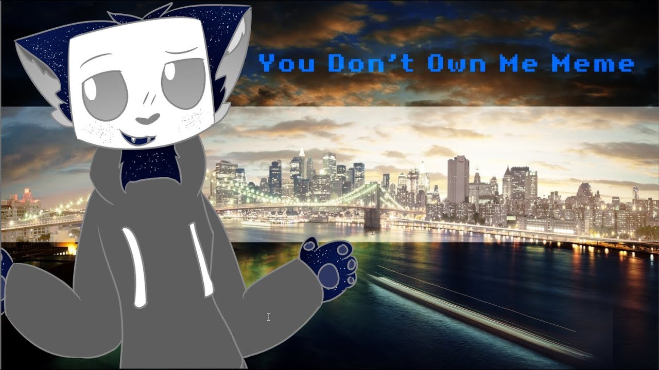 You Don't Own Me Meme (GIFT FOR 189) (OLD) - YouTube