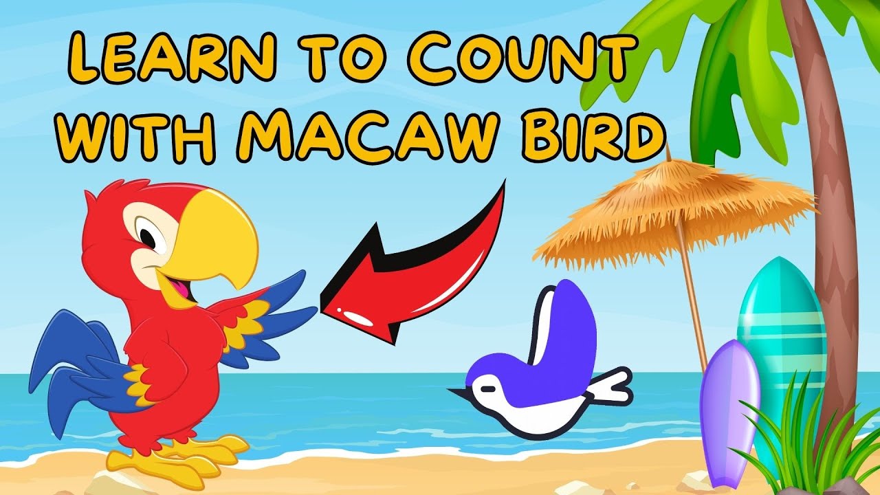 Learn to Count 1 to 10 With Macaw Bird | Very Interesting Video For ...