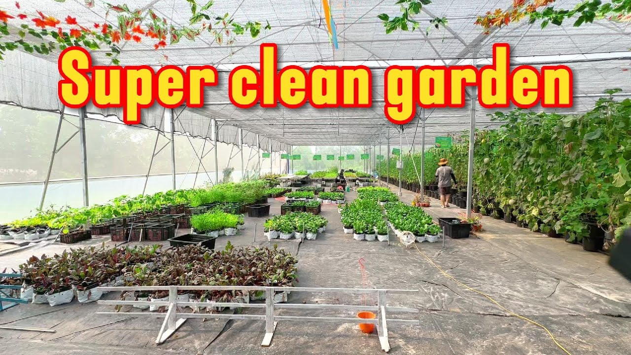 #6 Introducing a super clean closed garden | My garden, gardening ...