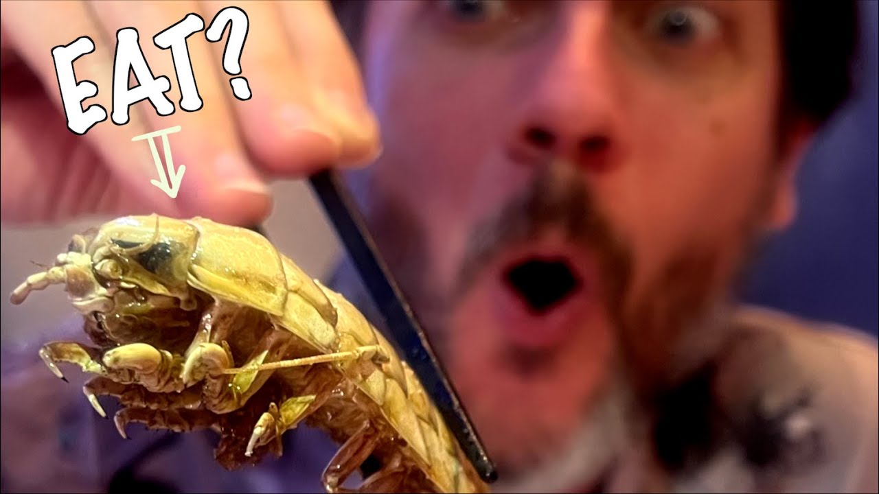 I ate giant isopod@ Japan's Most Exotic Restaurant (with Maggots ...