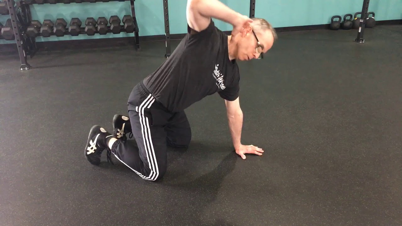 Quadruped T Spine Rotation Youtube