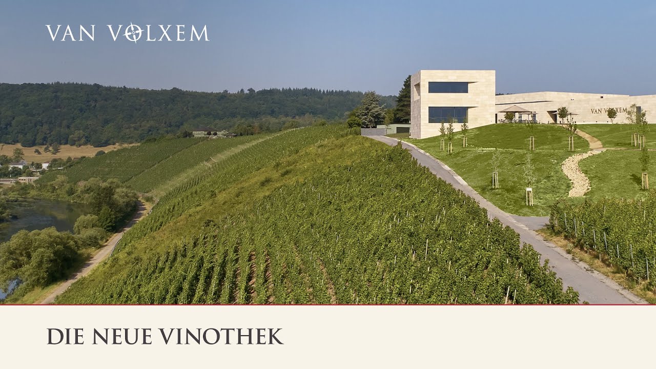 Weingut Van Volxem - die Vinothek - YouTube
