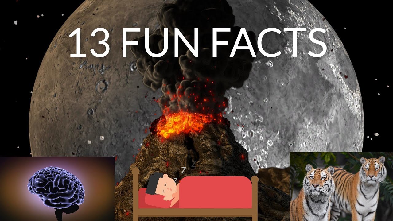 13 INTERESTING FUN FACTS THAT WILL BLOW YOU AWAY - YouTube