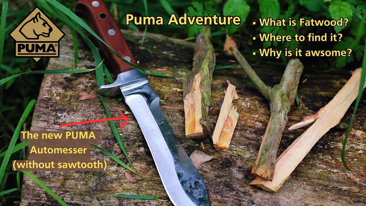 Ultimate Bushcraft Survival Gear: Finding Fatwood with the Automesser ...