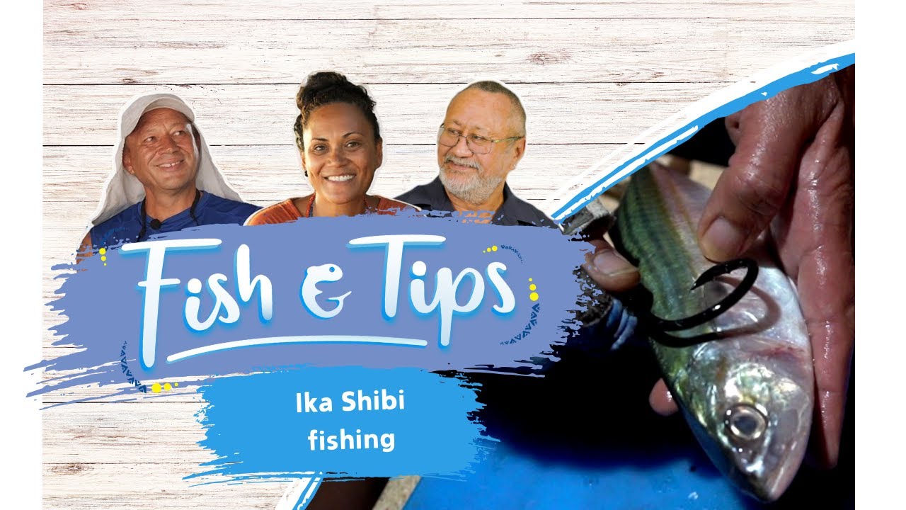 Ika-shibi fishing | Fish & Tips - Season 3, Episode 3 - YouTube