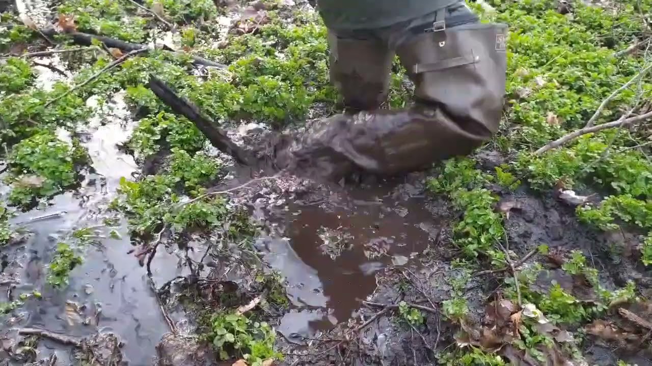 Waders in forest bog - YouTube