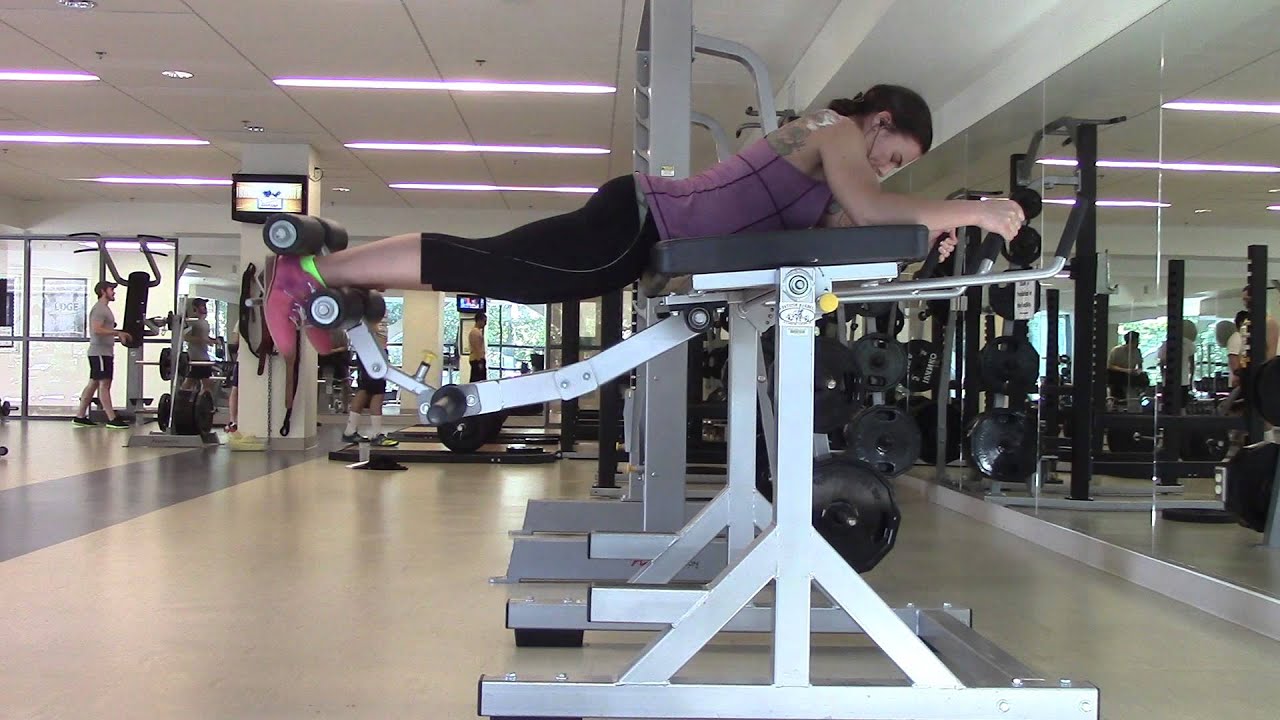 Squat Day Accessories 9-17 - Narrow Leg Press, Weighted Decline Situps, Reverse Hypers - YouTube