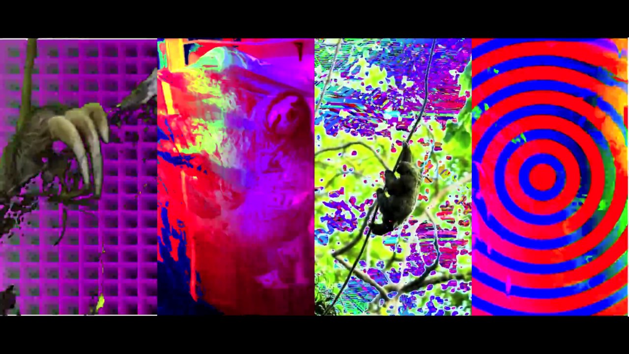 The main secrets of the central specialization for slothfulness ...