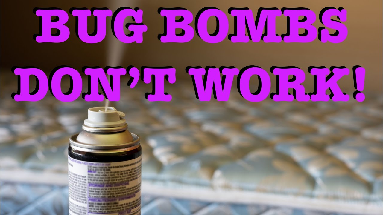 WHY BUG BOMBS DON’T WORK FOR FLEAS - And what does #fleas #fogger # ...