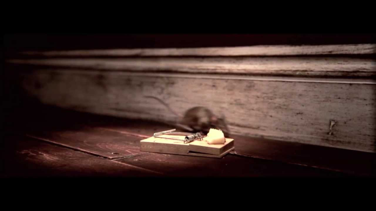 Nolan's Stronger Cheese Ad - YouTube