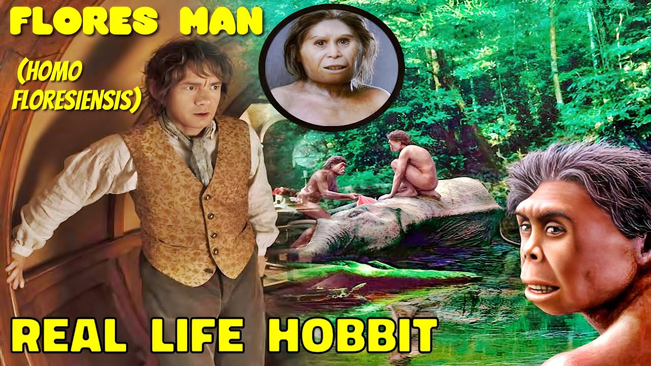 Flores Man || Was This Real Life Hobbit ? - YouTube