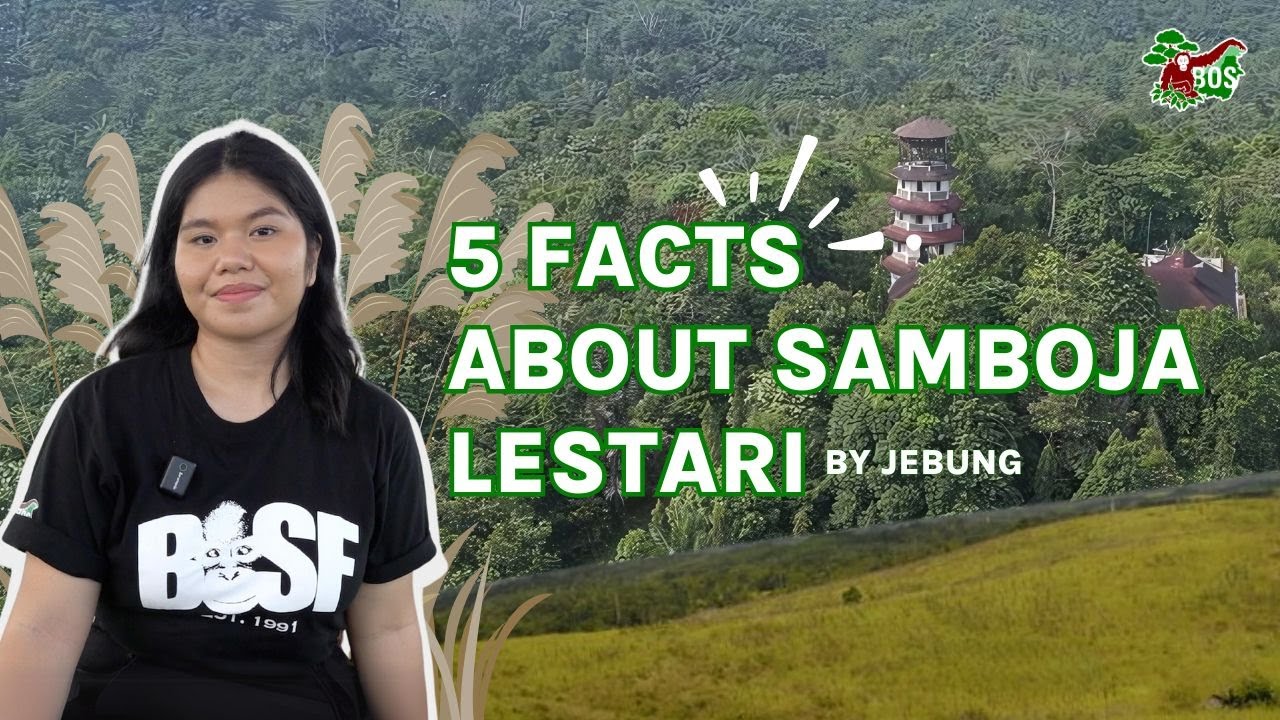 5 FACTS ABOUT SAMBOJA LESTARI! - YouTube