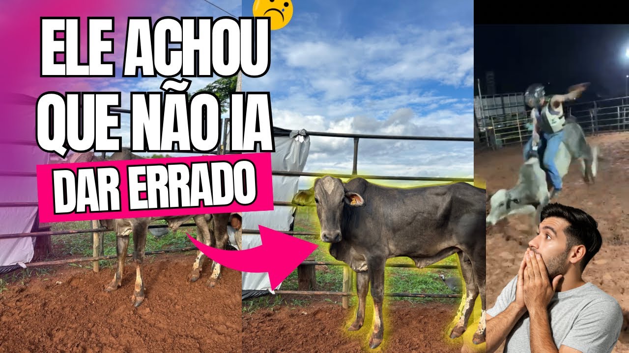 O TOURO ESTRELA COMEÇOU A RODAR NA BOCA DO BRETE #vidarustica - YouTube