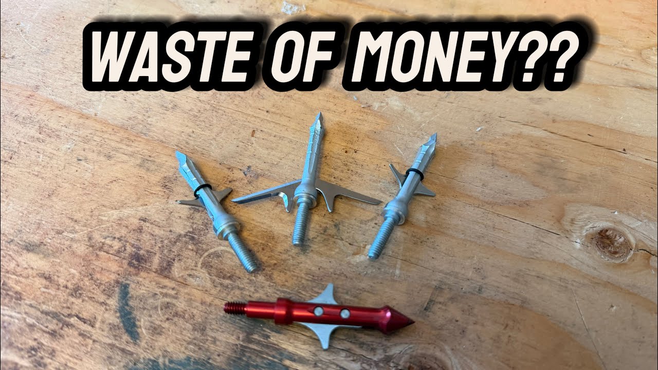 Carnage Griffin Broadhead review. The only review on YouTube?? #alberta ...