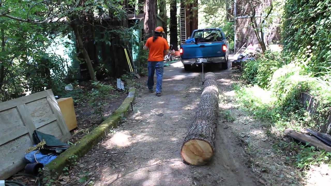 Kutches Tree Company Log Surfing - YouTube