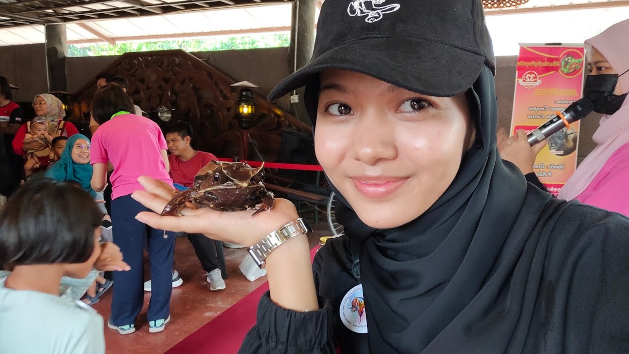 #003 SYASYA NAK JUMPA PUTERI RAMA-RAMA || MALACCA BUTTERFLIES ...