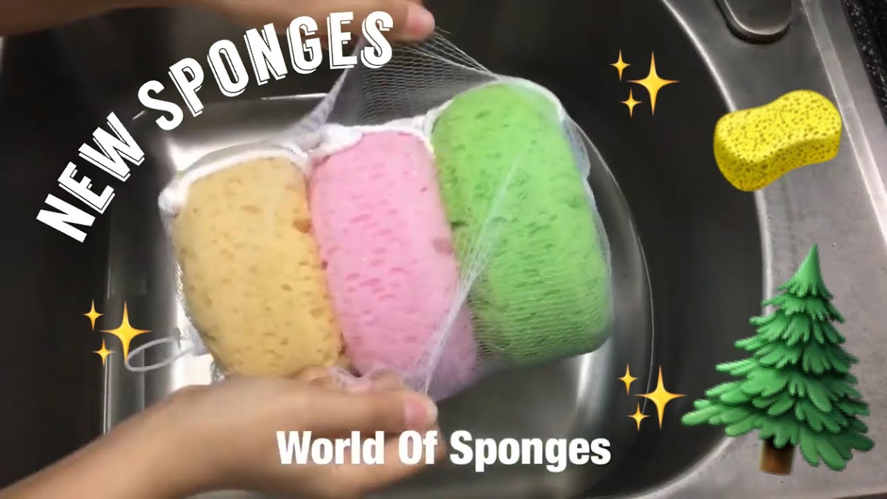 Breaking in some new sponges with 🌲 pine!! - YouTube
