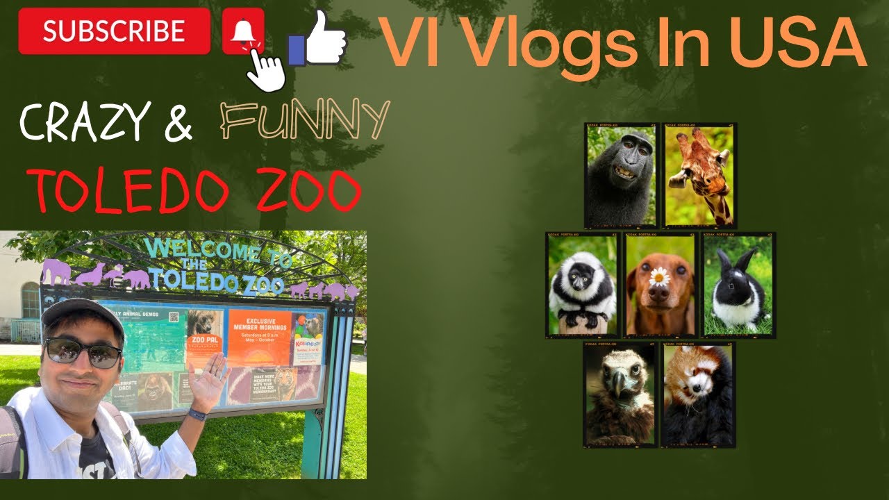Toledo Zoo VI Vlogs In USA Lots Of toledo-zoo-vi-vlogs-in-usa-lots-of