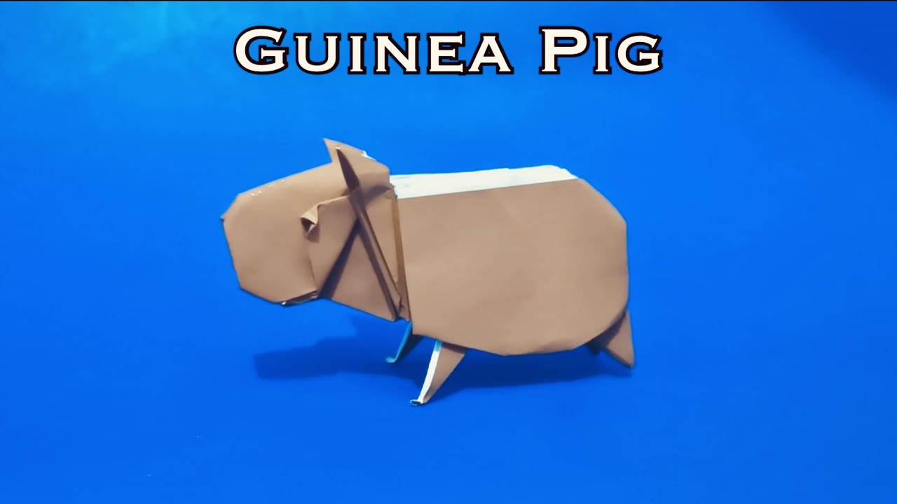 How to make origami Guinea Pig tutorial - YouTube