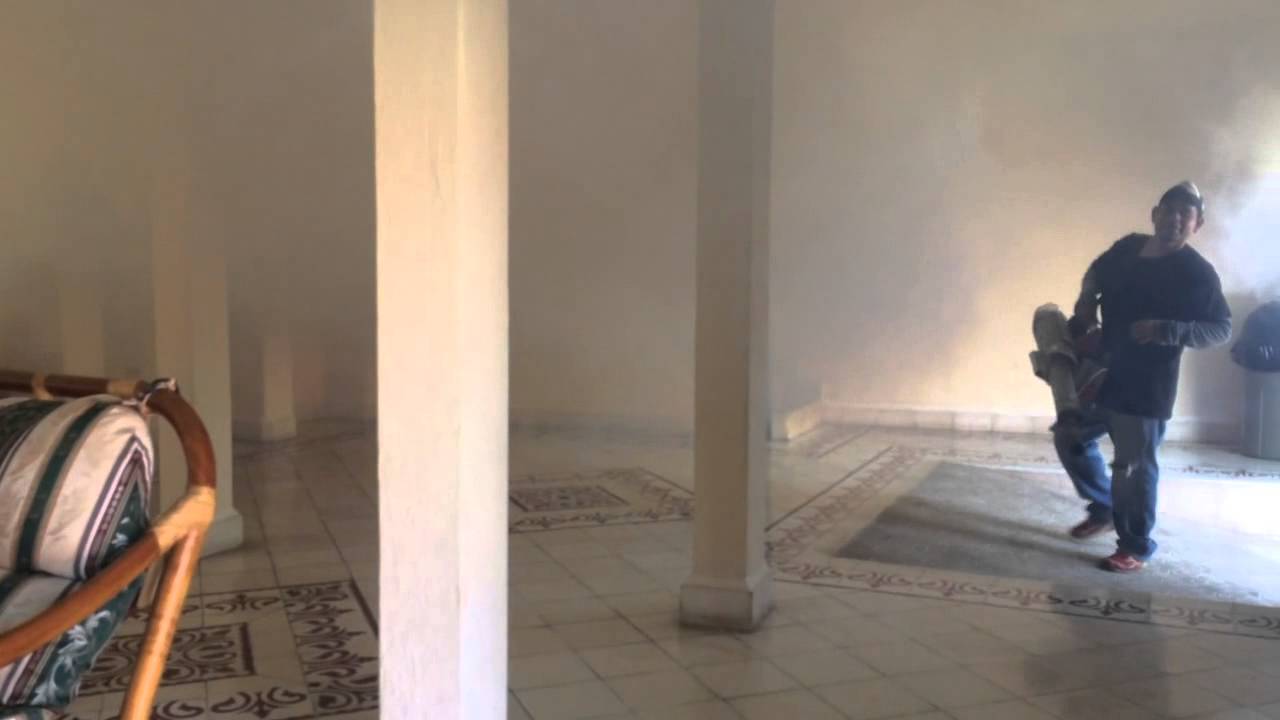 House Fumigation - YouTube