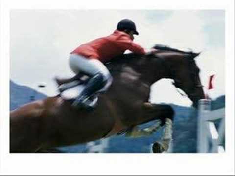 horse music video