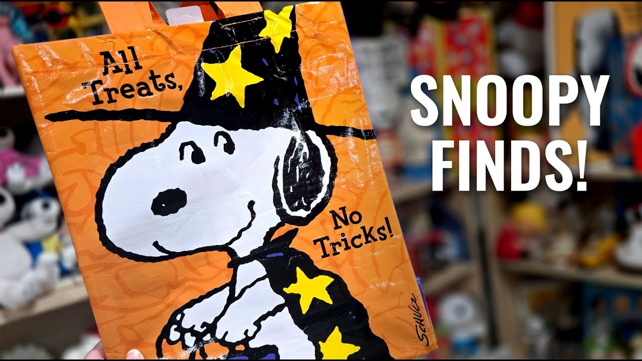 Random Peanuts Collectibles in Random Box - Snoopy Finds ...