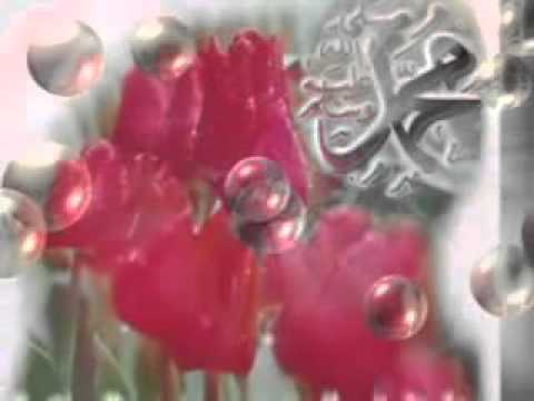 CAN AHMEDİM HABİB SAGKOL
