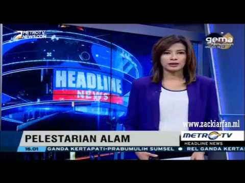Zackia Arfan Headline News Metro TV 21 Mei 2016