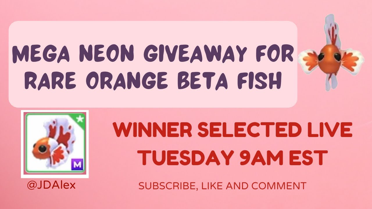 Creating the First MEGA NEON Rare Orange Betta fish Pet in Roblox Adopt ...