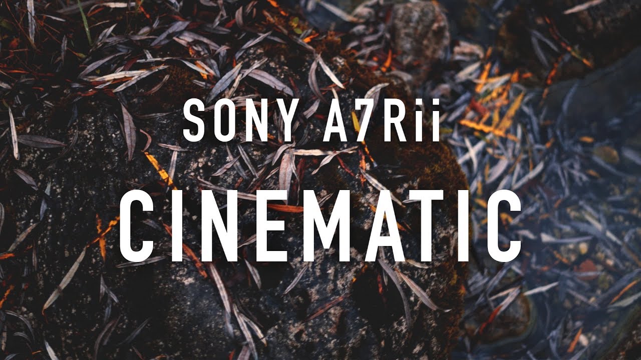 The Flow | Sony A7Rii CINEMATIC 4k - YouTube