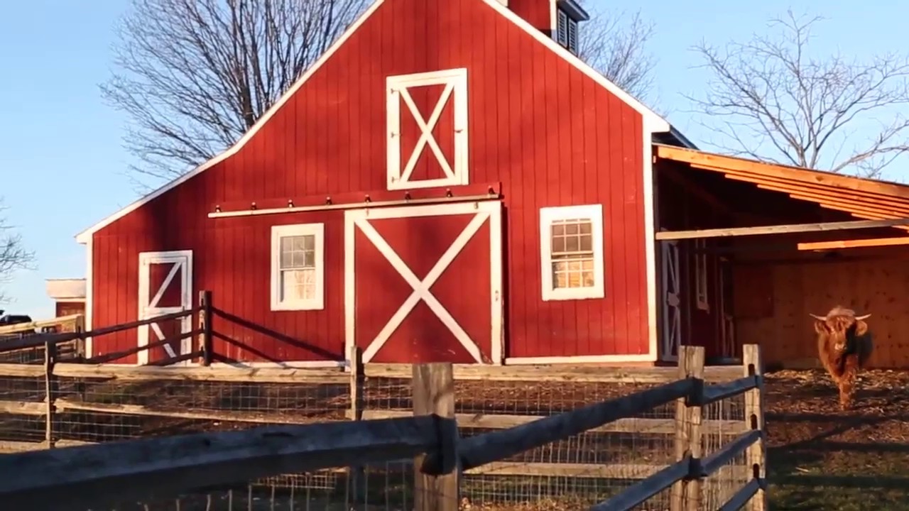 Kimstead Farm - WWOOF Interview - YouTube