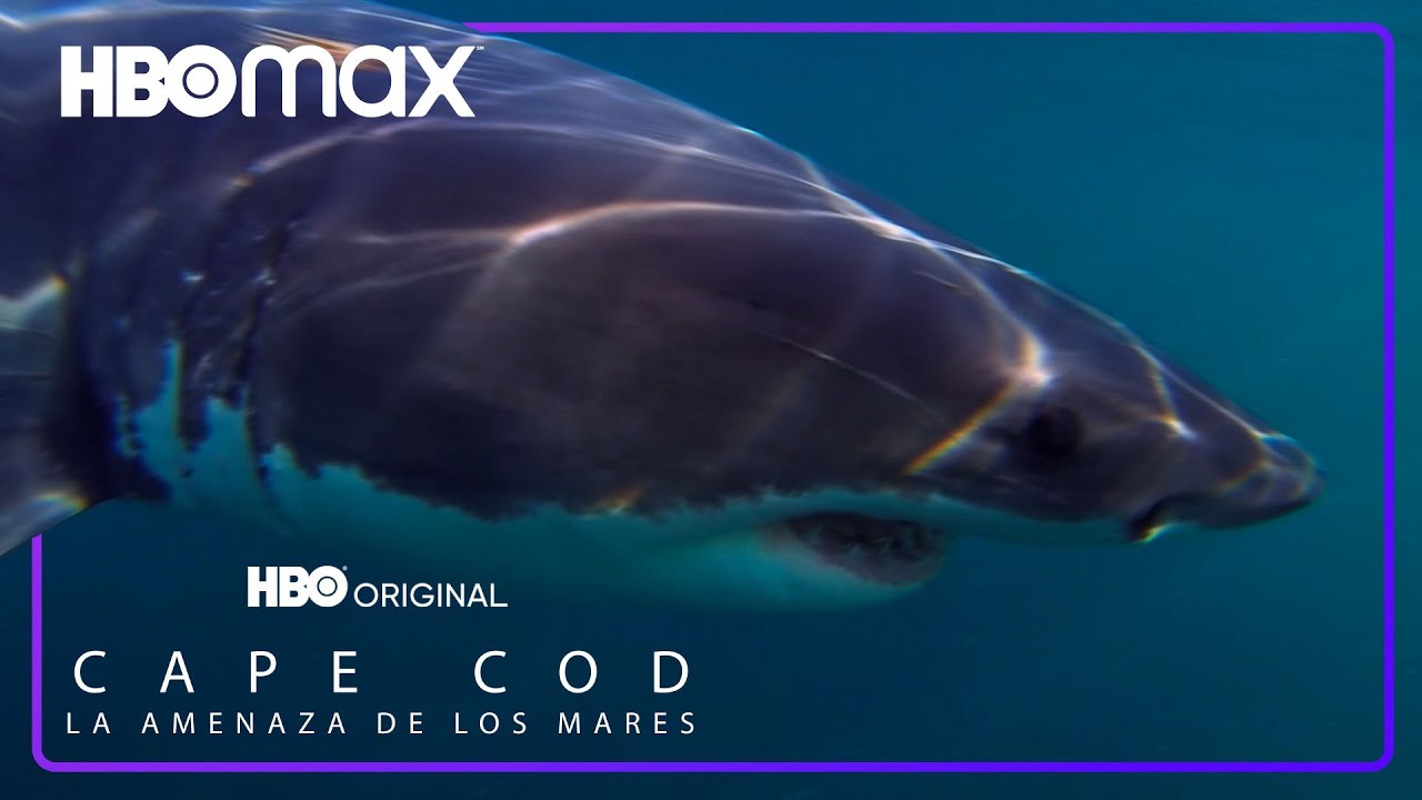 Cabo Cod: La amenaza de los mares | Tráiler oficial | HBO Max - YouTube
