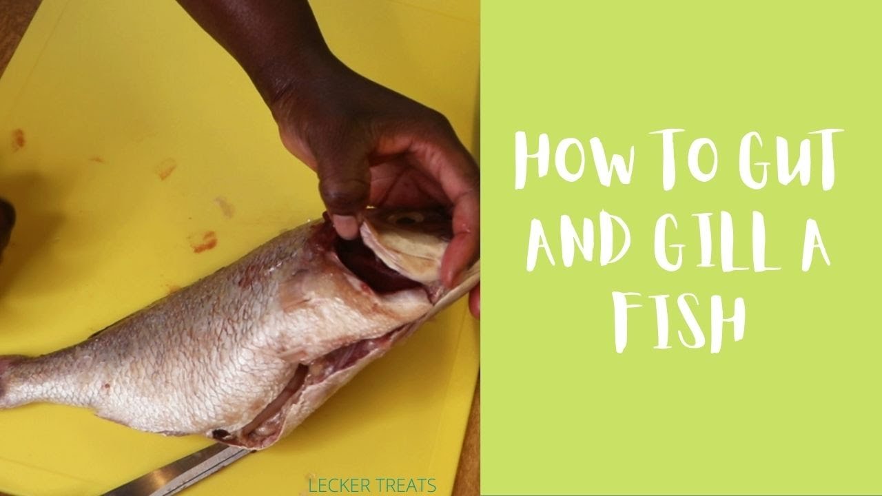 How To Gut And Gill A Fish | Red Snapper Fish | Kitchen Tips & Hacks ...