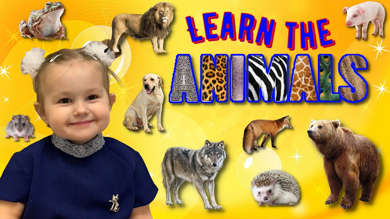 LEARN Animals Names and Sounds | Animals for kids 0+ - YouTube