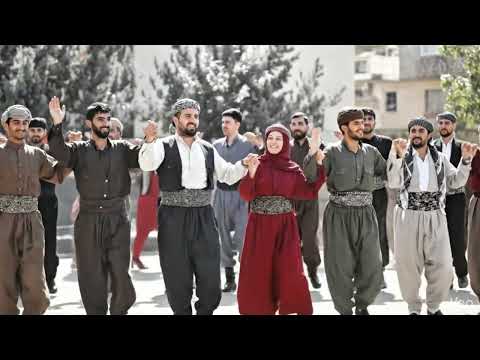 Düğünde  kadınlar halay oynuyorlar  #halay #halaybasi #şefo #kurdish #kurtce #düğün #gelin #batman