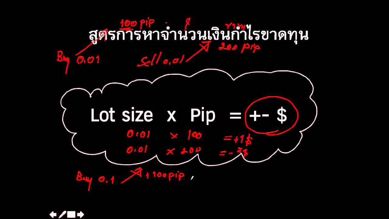 Lot size คืออะไร Ep.6 - trip28.com รวมข้อมูล ให้ง่ายต่อการเข้าถึง เพื่อคุณ