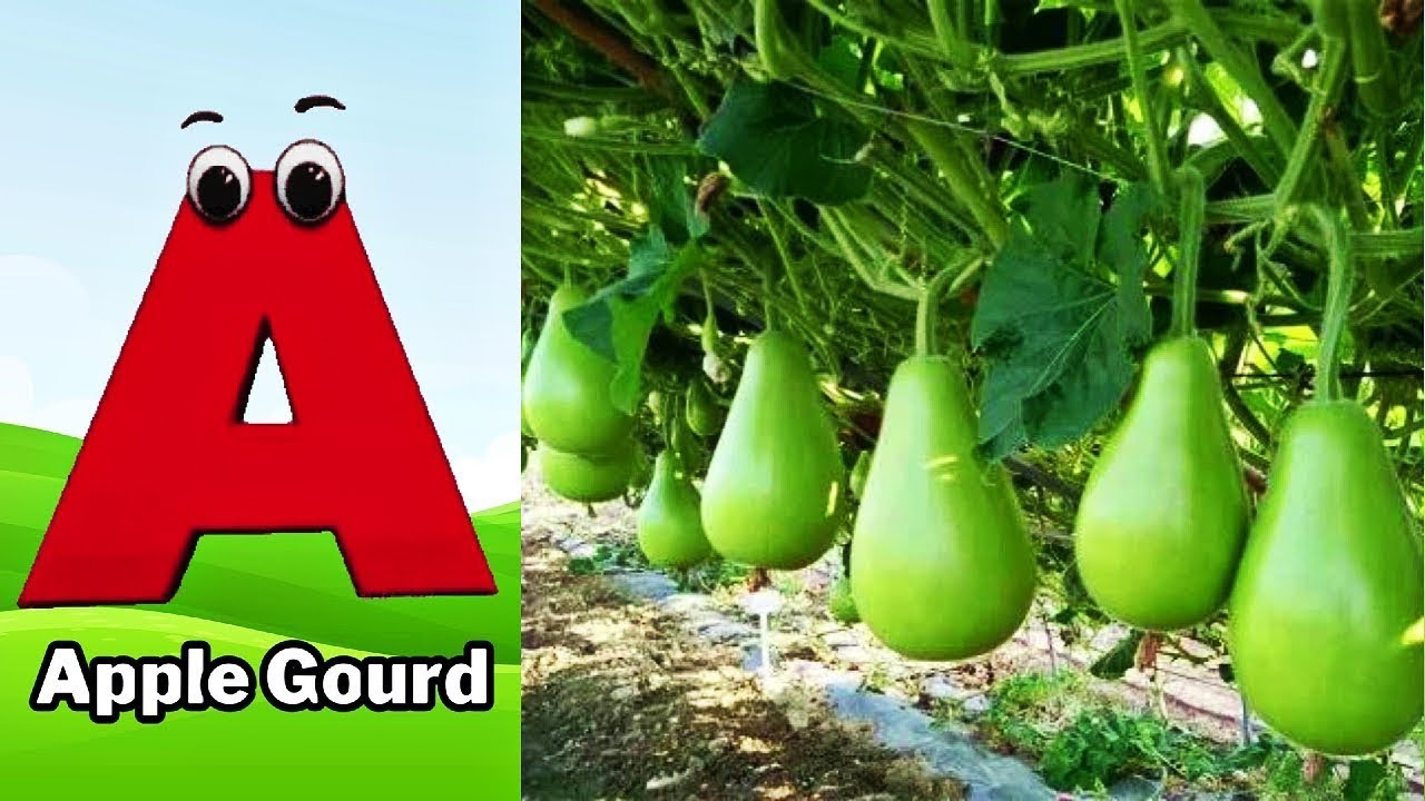 ABC Vegetables Song | Alphabets Kids song | Learn #alphabet and # ...