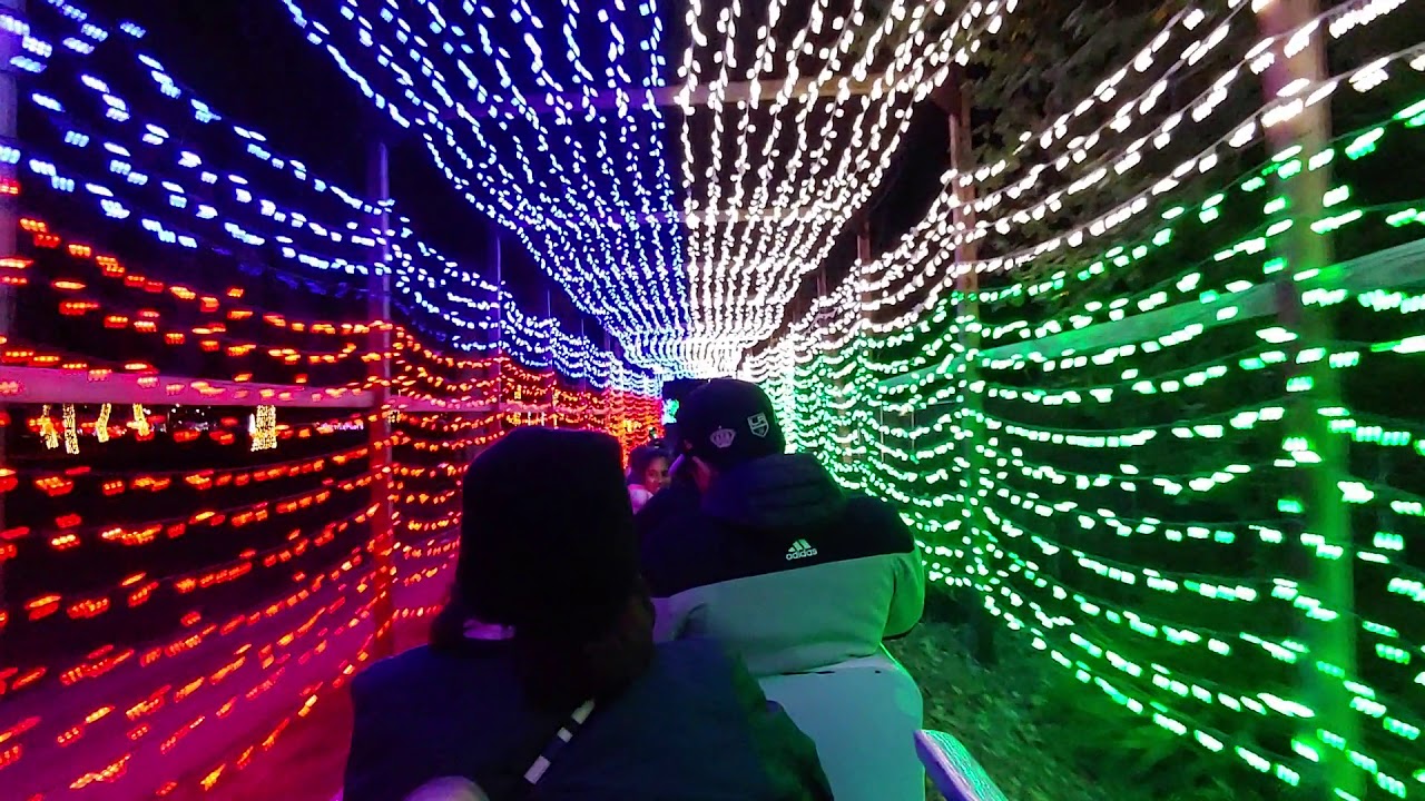 Griffith Park & Southern Railroad holiday lights train 2018 - YouTube