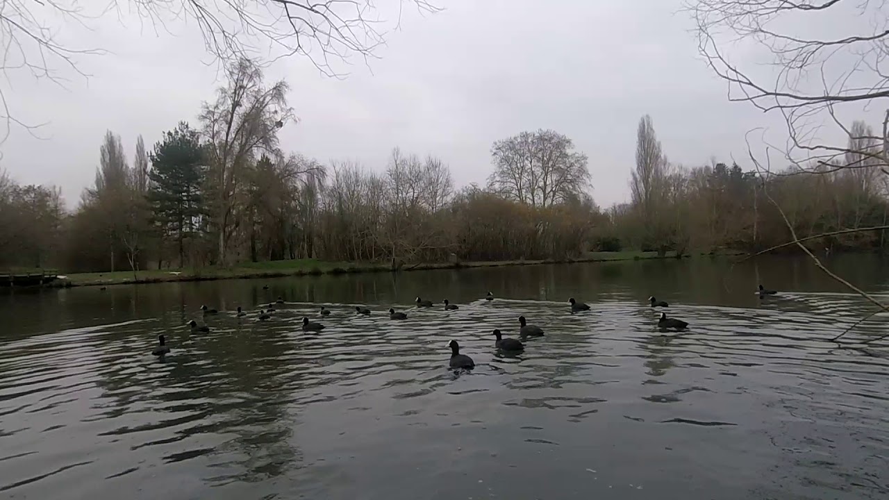 Parc de Morsang sur orge - YouTube